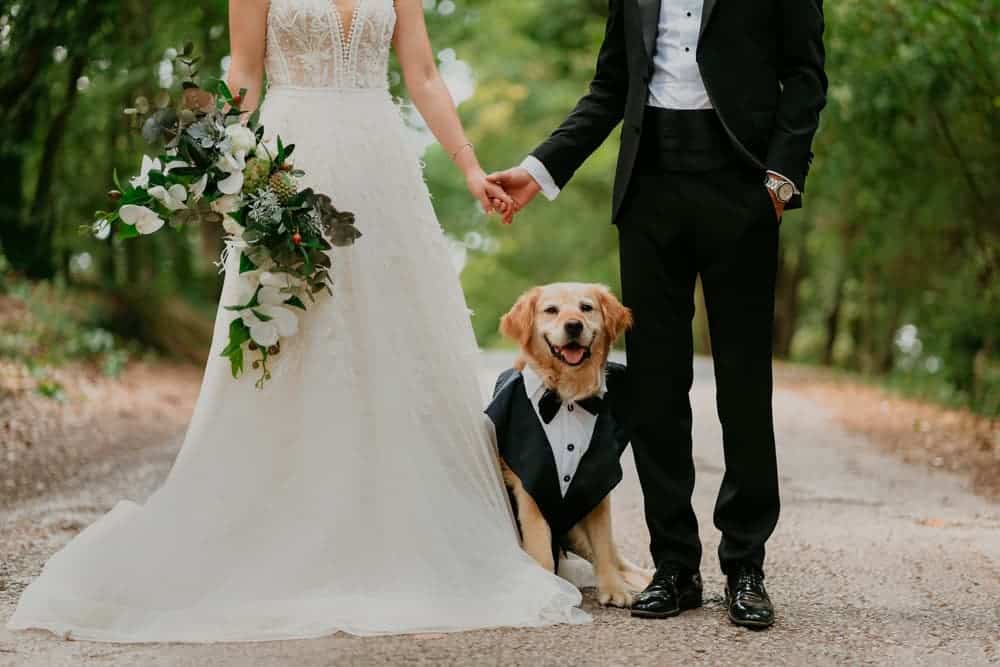 How To Incorporate Your Dog Into Your Wedding Day | Hyde Bank Farm